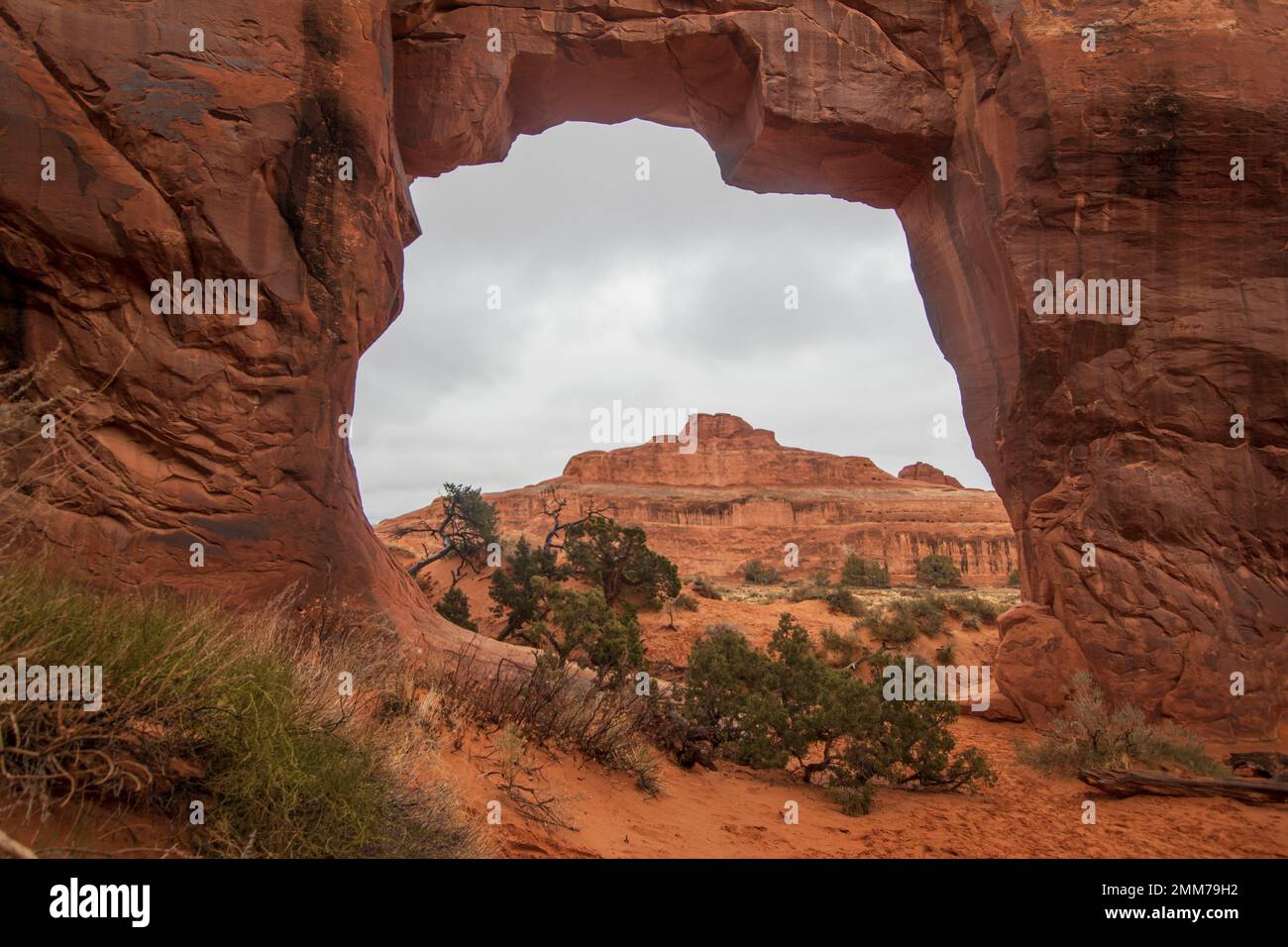 Pine Tree Arch is one of many arches in the Devil's Garden area of ...