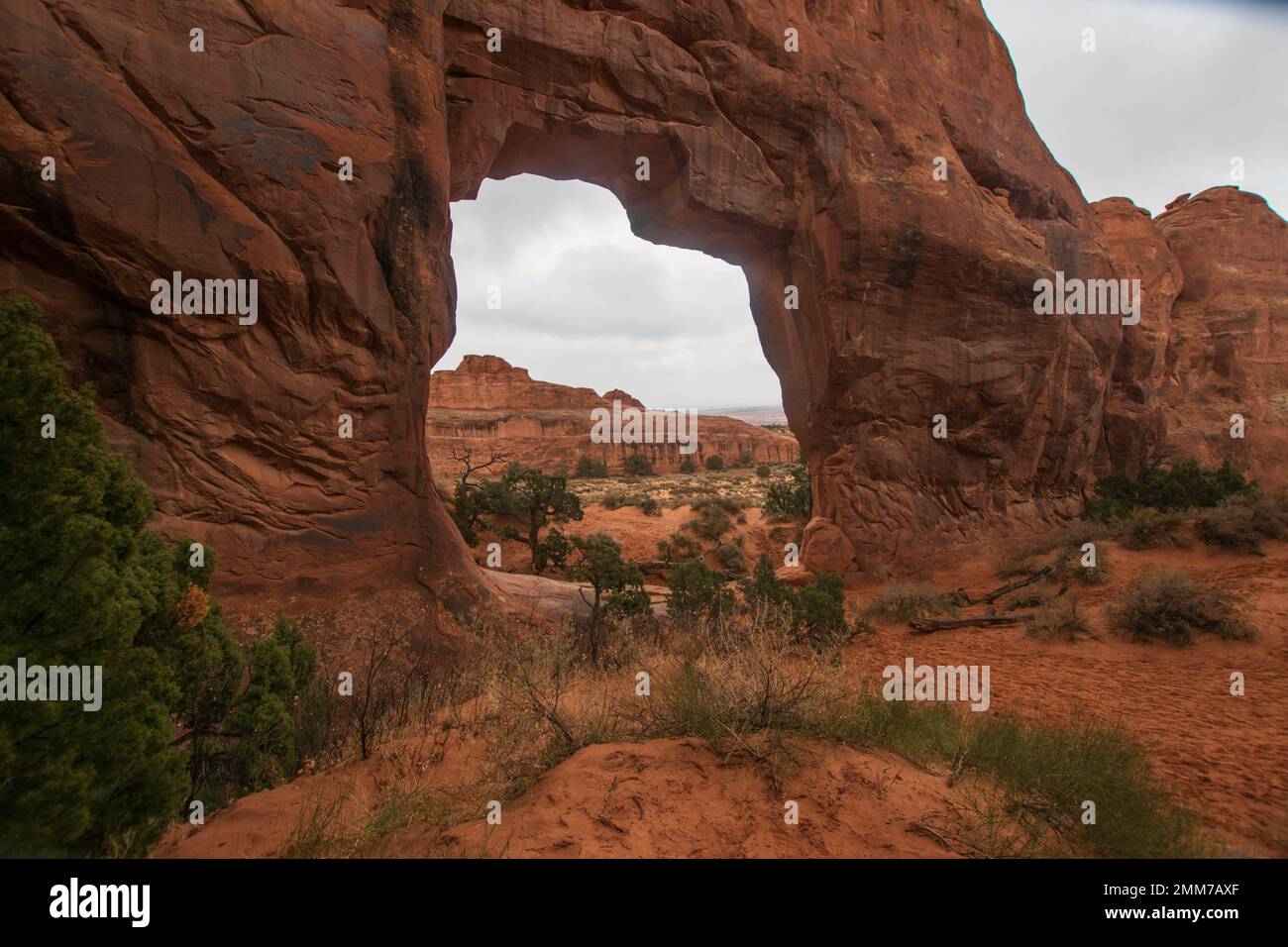 Pine Tree Arch is one of many arches in the Devil's Garden area of ...