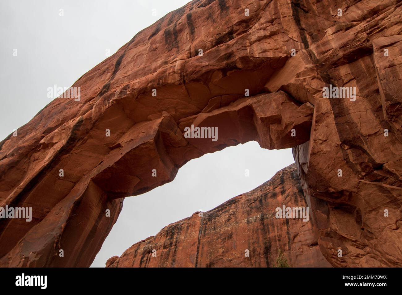 Pine Tree Arch is one of many arches in the Devil's Garden area of ...