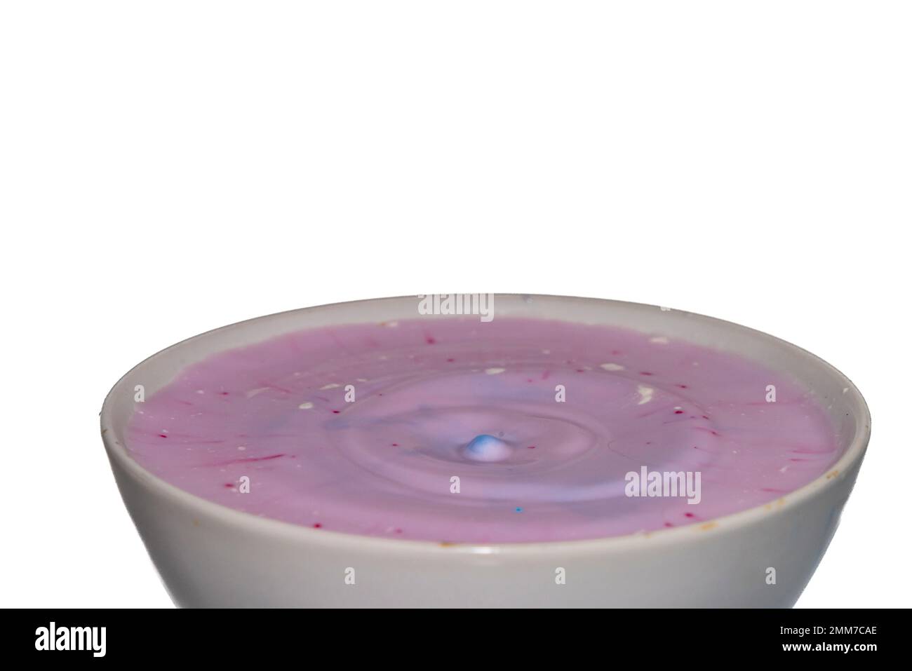 Color fresh blue milk drops into white milk in cup with light gray ...