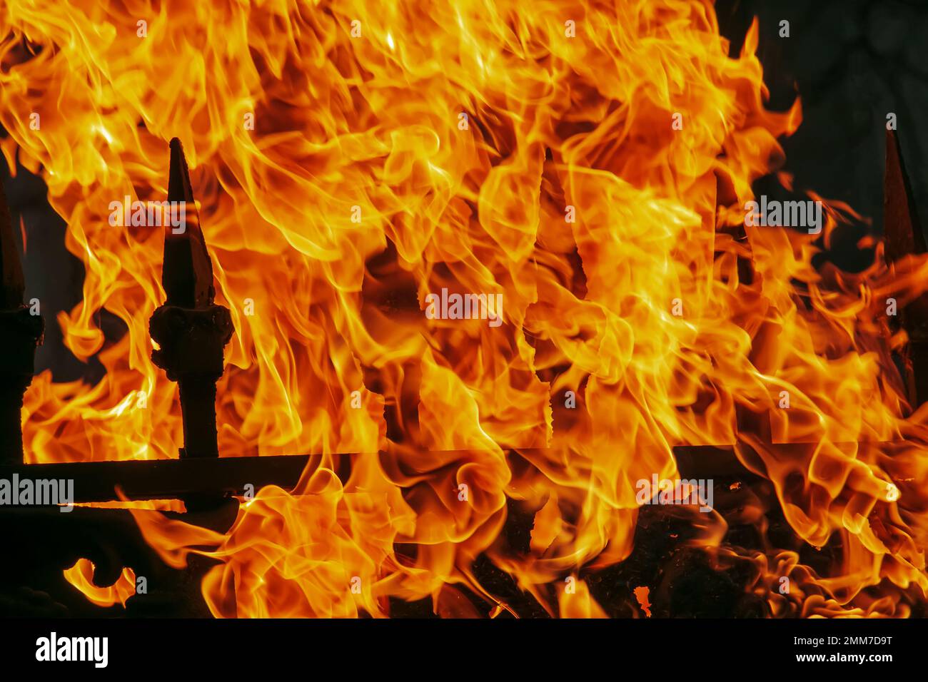 Bright fire on the fence. Clubs of orange fire burn everything. Fire ...