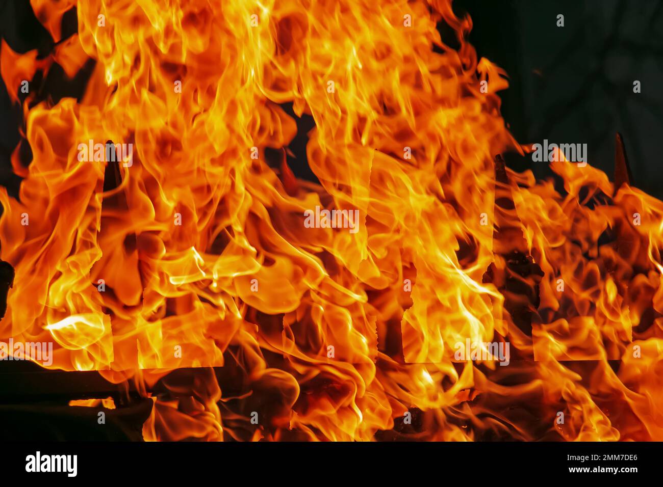 Bright fire on the fence. Clubs of orange fire burn everything. Fire ...