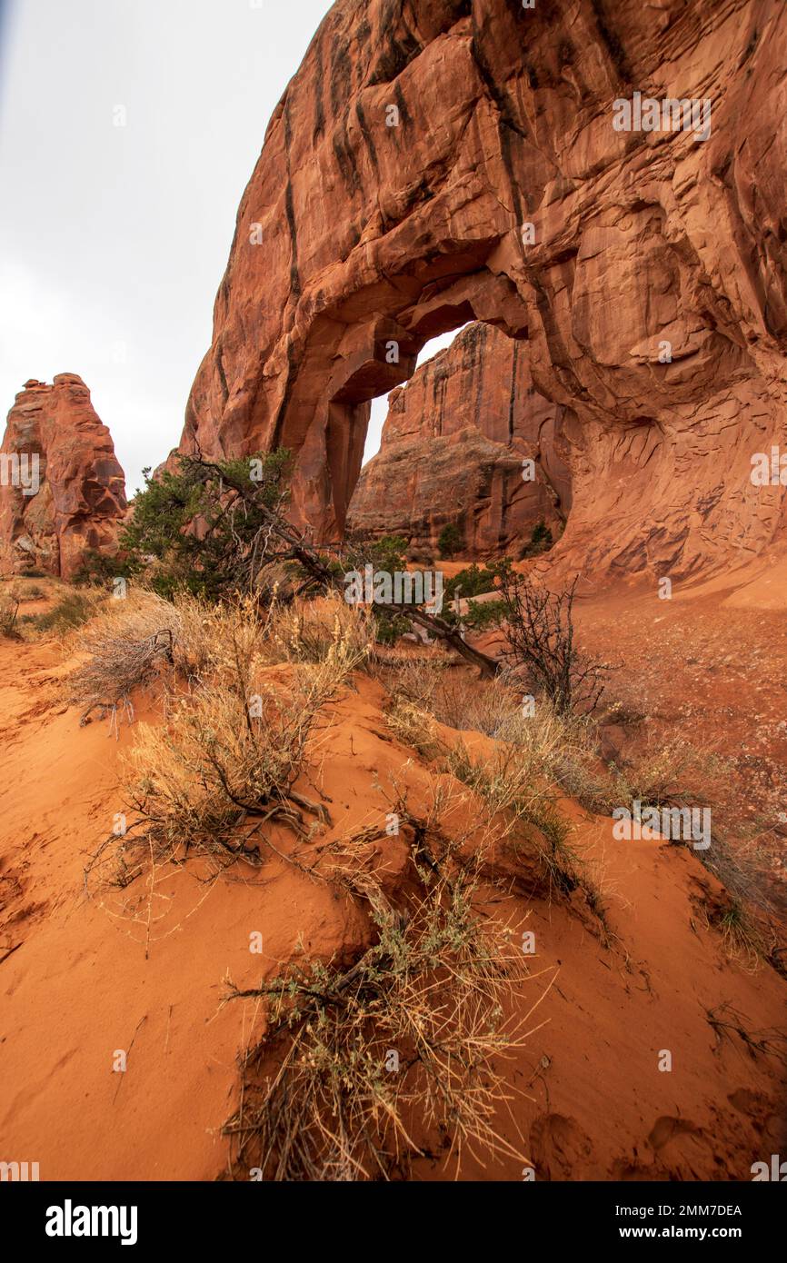 Pine Tree Arch is one of many arches in the Devil's Garden area of ...