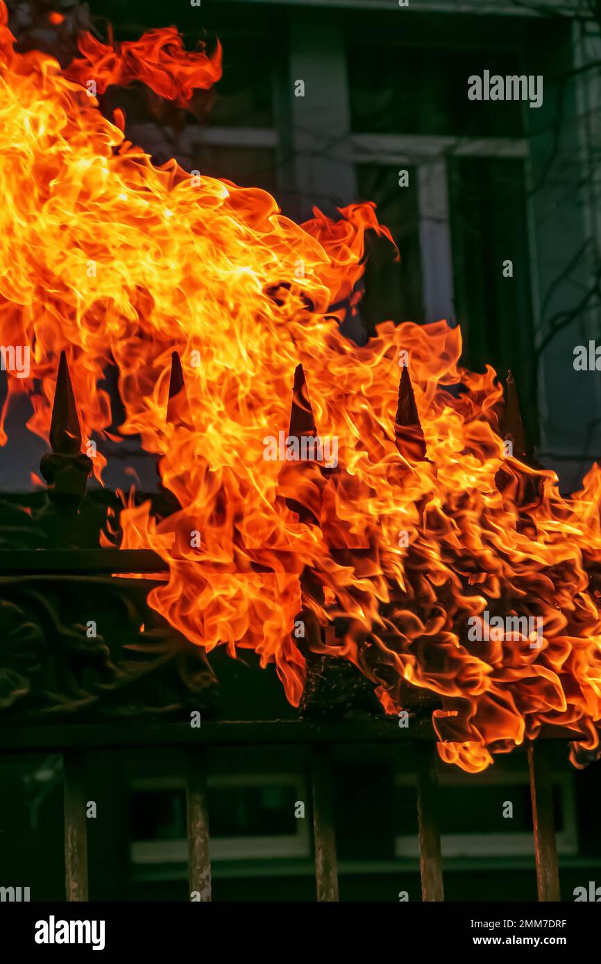 Bright fire on the fence. Clubs of orange fire burn everything. Fire ...
