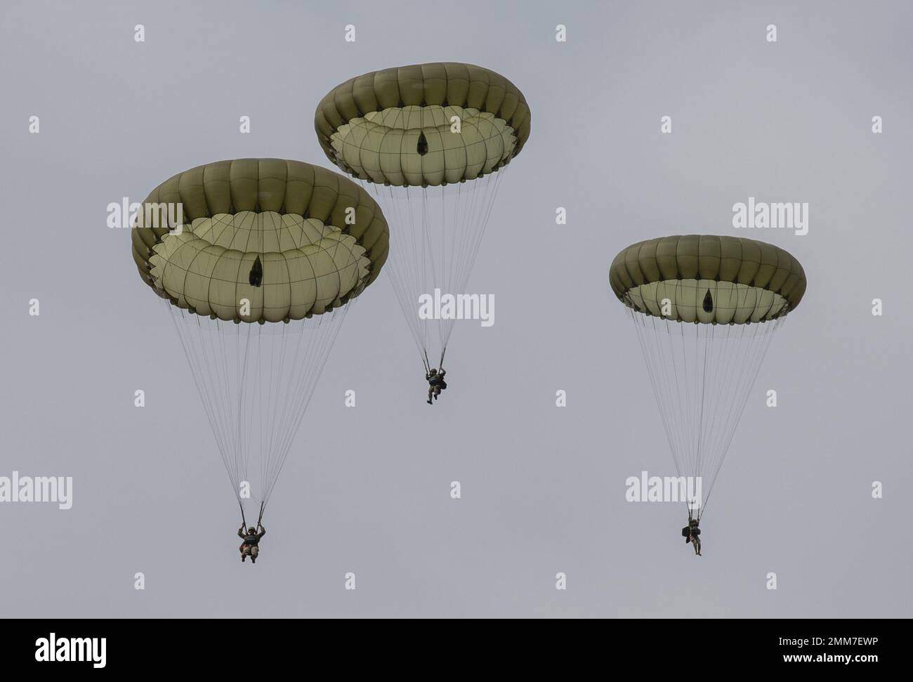 A group of German Paratroopers conduct an Airborne jump out of a C-130 ...