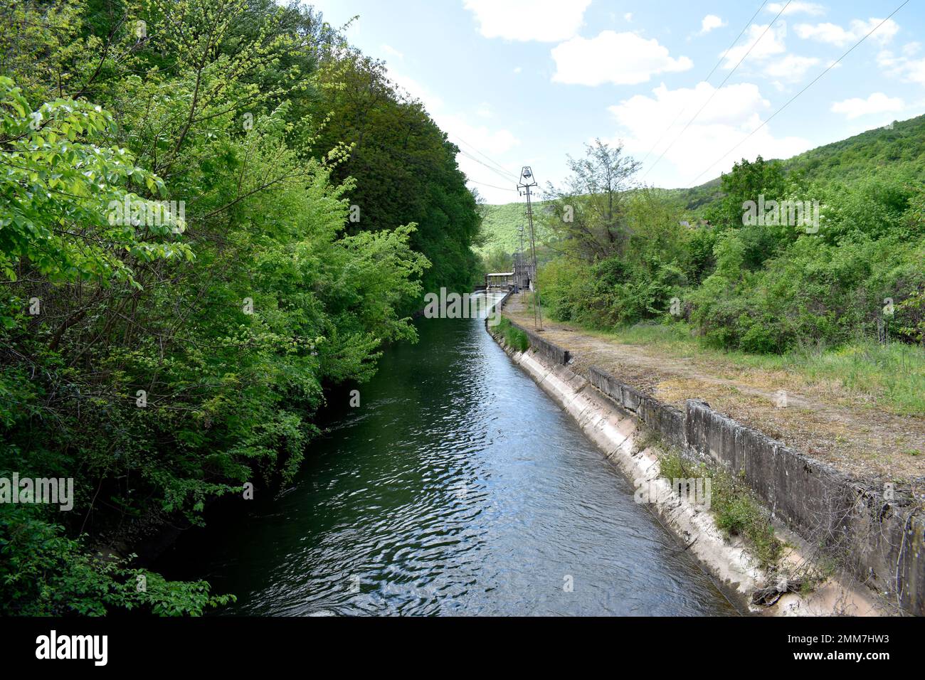 Surrounded by treetops hi-res stock photography and images - Alamy