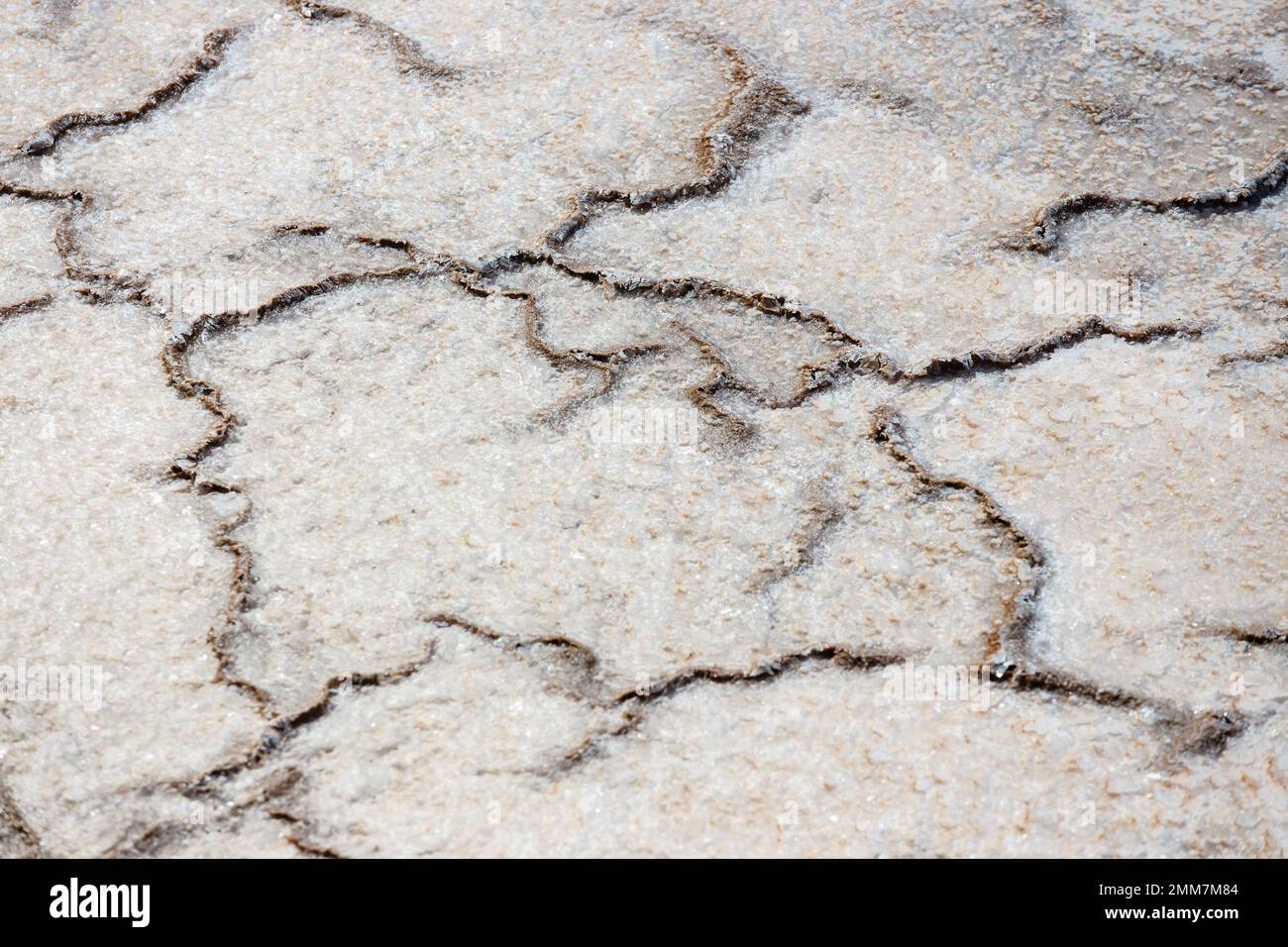 Background from sea salt. Coarse rock salt texture Stock Photo - Alamy