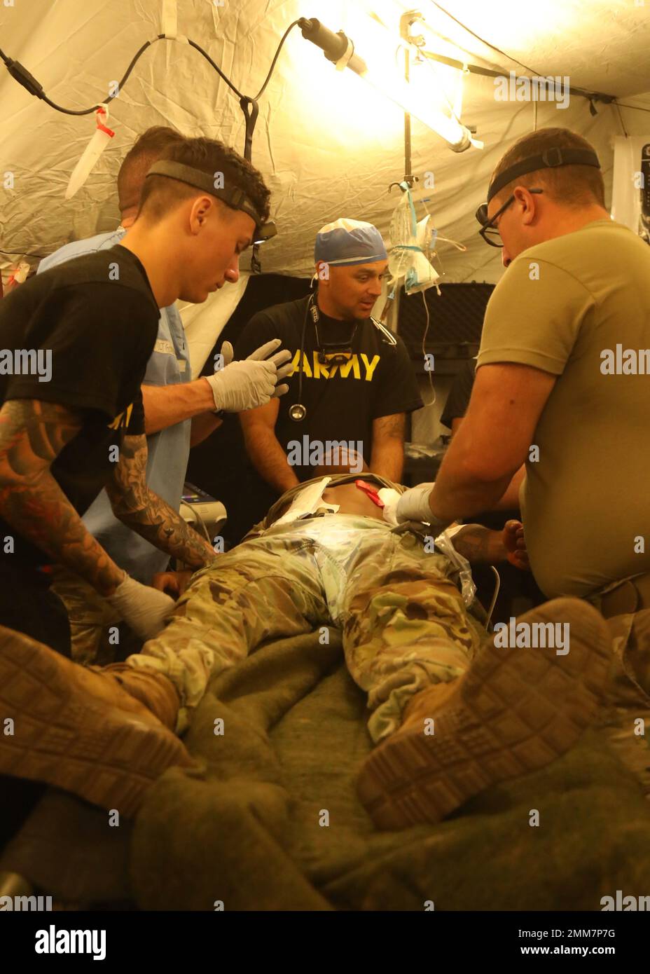 U.S. Army Soldiers assigned to the 14th Field Hospital perform medical ...