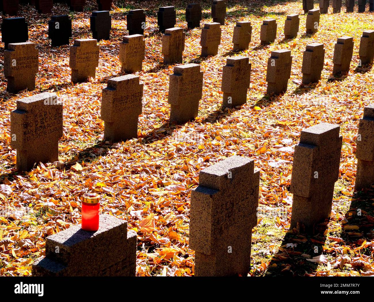 A candle is placed on a tombstone in a field of graves belonging to WWI ...