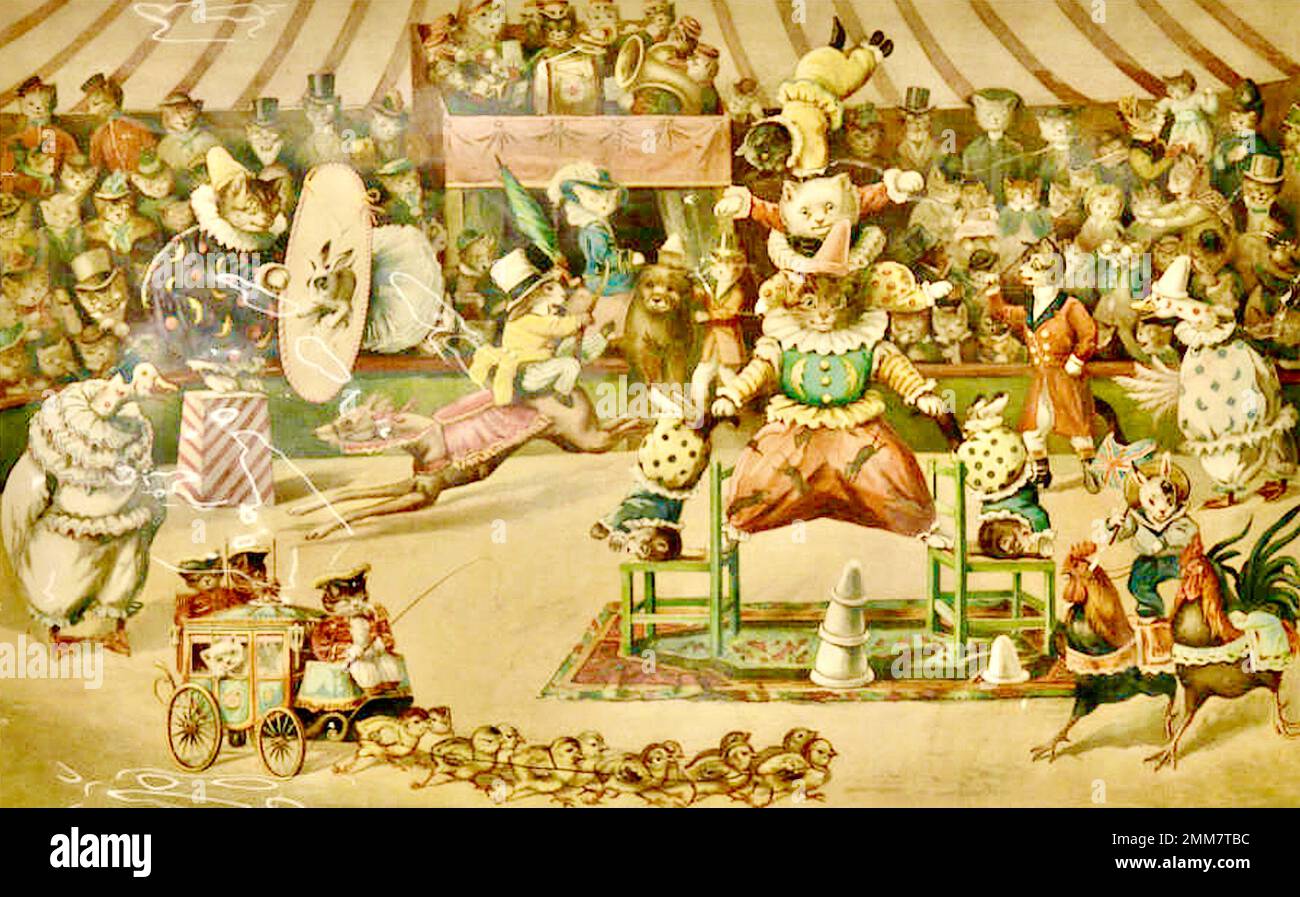 Circus cats hi-res stock photography and images - Alamy