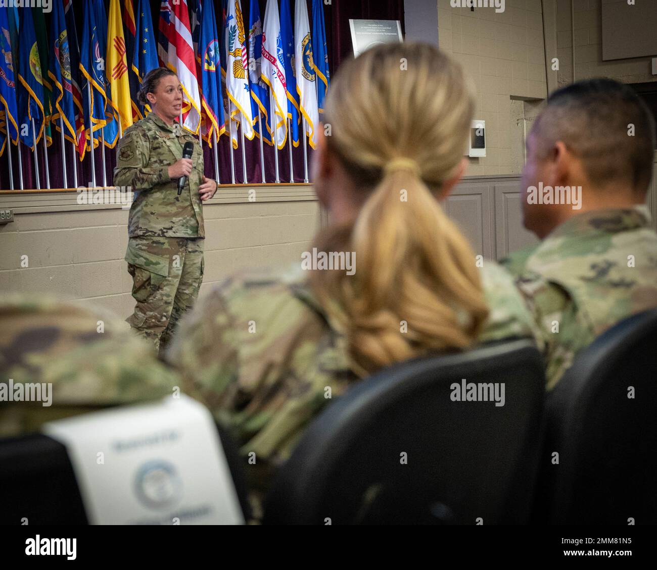 U.S. Air Force Tech. Sgt. Vicki Greene, right, Headquarters, Air Staff, Texas Military ...