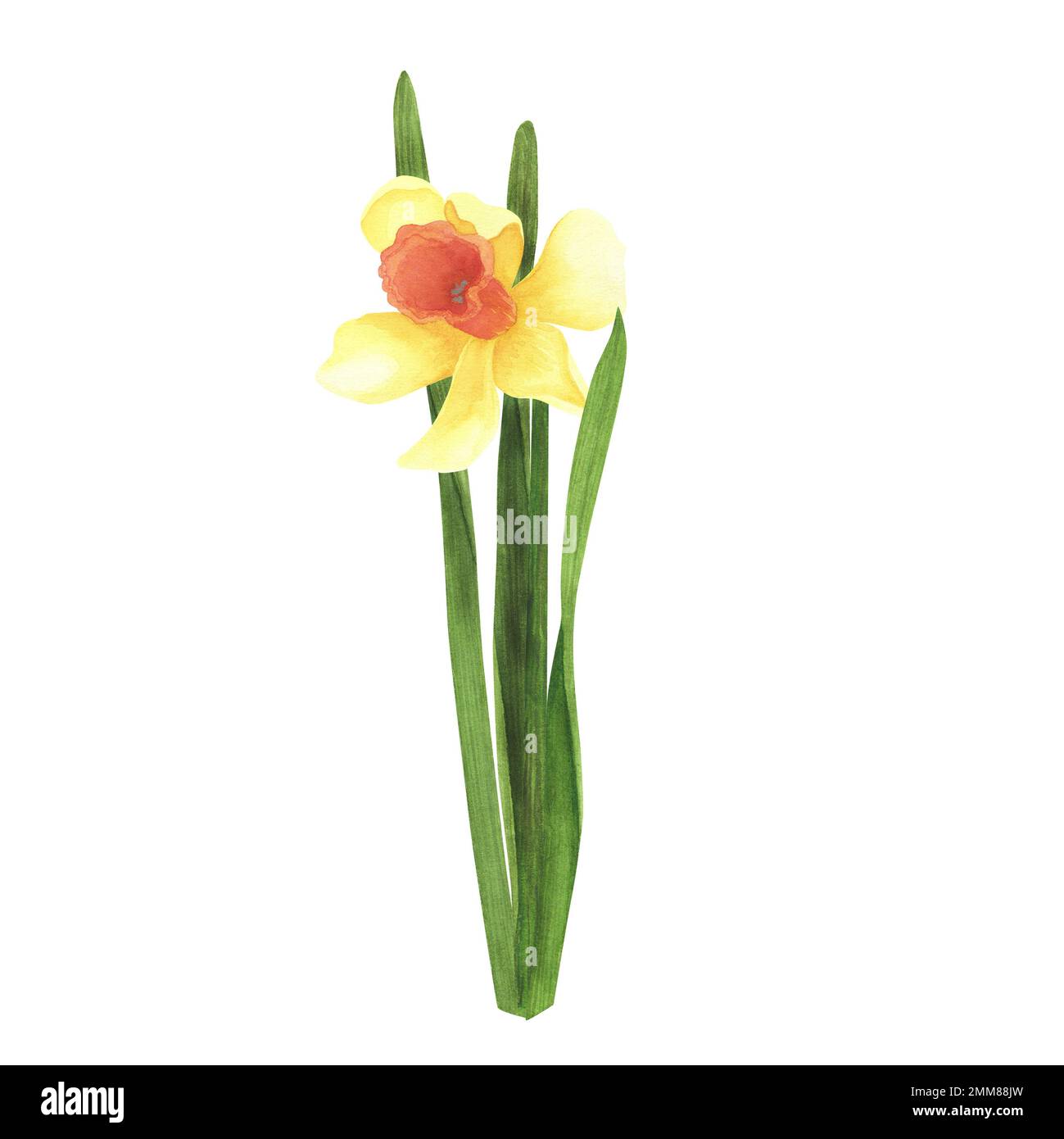 Hand drawn wildflower card hi-res stock photography and images - Alamy