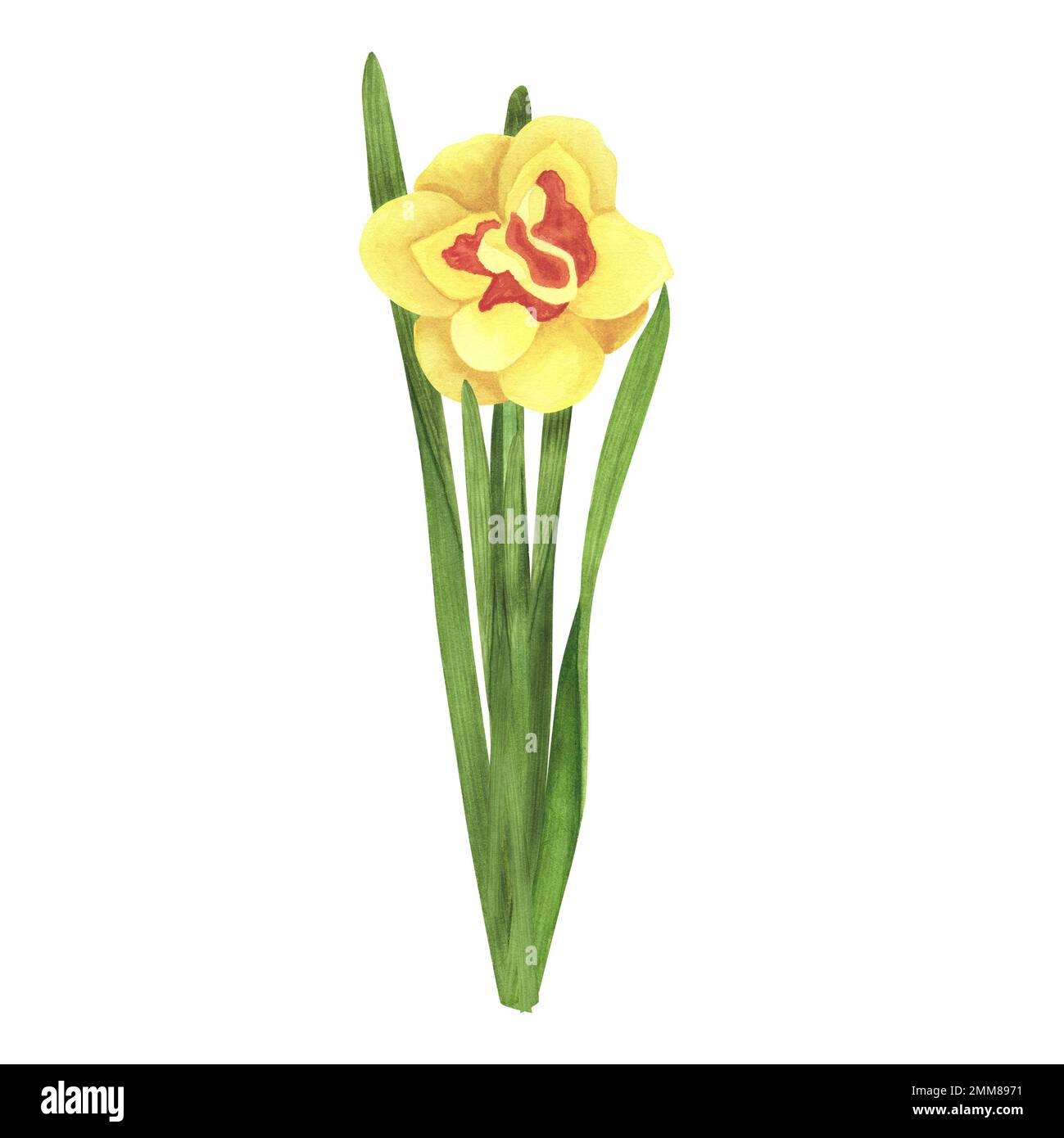 Hand drawn wildflower card hi-res stock photography and images - Alamy