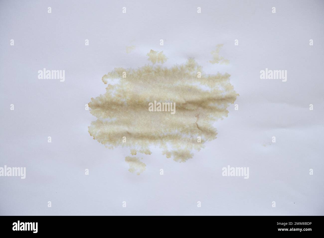 wet spot on white paper from coffee as background, trail of spilled ...