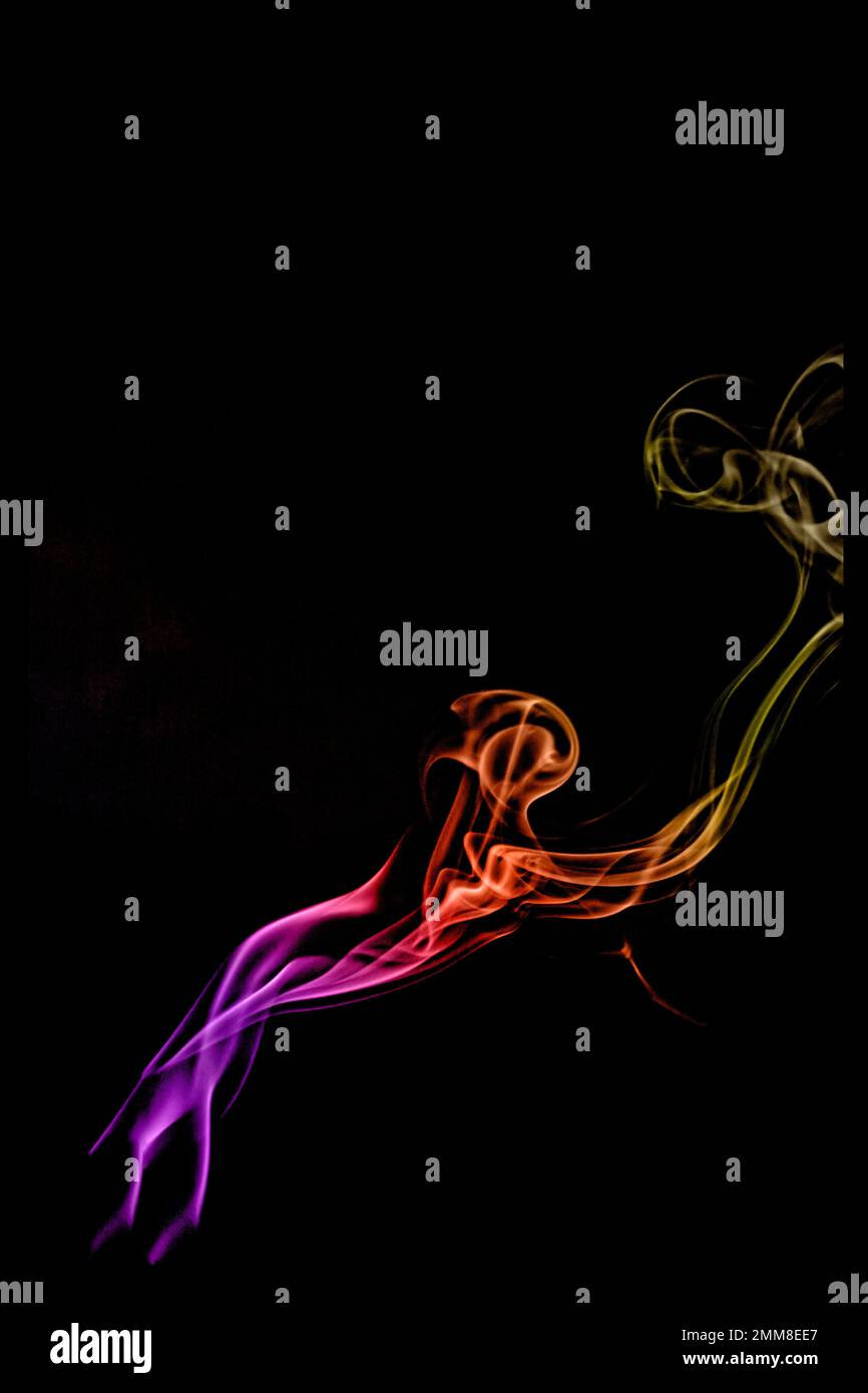 Abstract illustration based on smoke photography multicolored animal ...