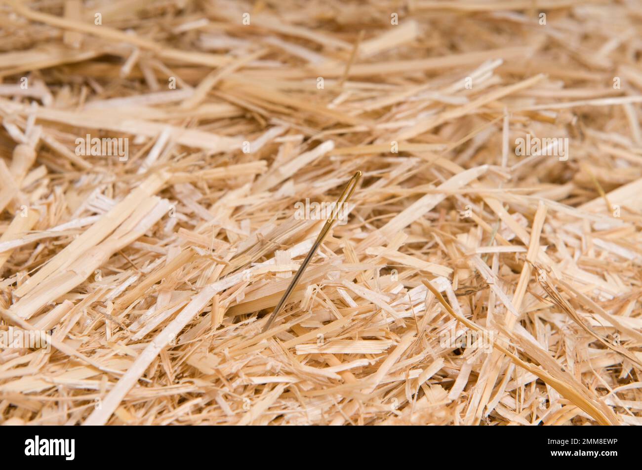 Needle in a haystack hi-res stock photography and images - Alamy