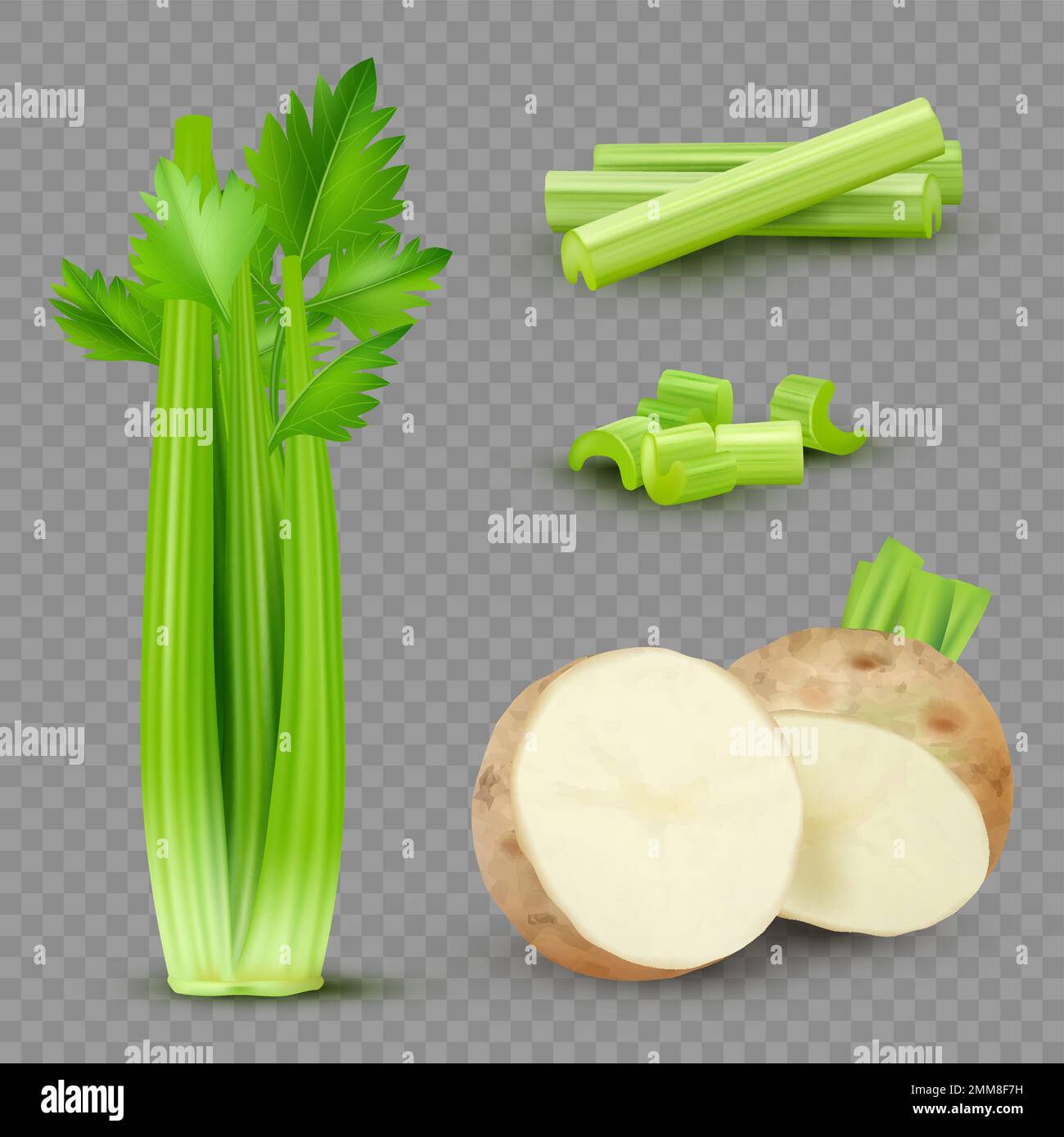 Realistic celery. Green vegan food celery sliced pieces and liquid ...