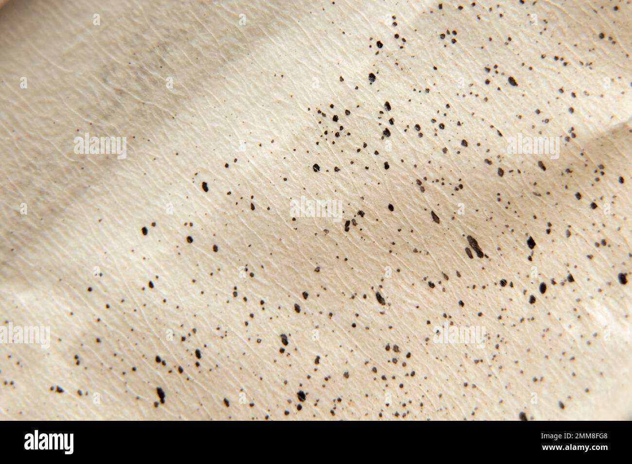 brown paper with spots of paint for the background, splashes of paint ...