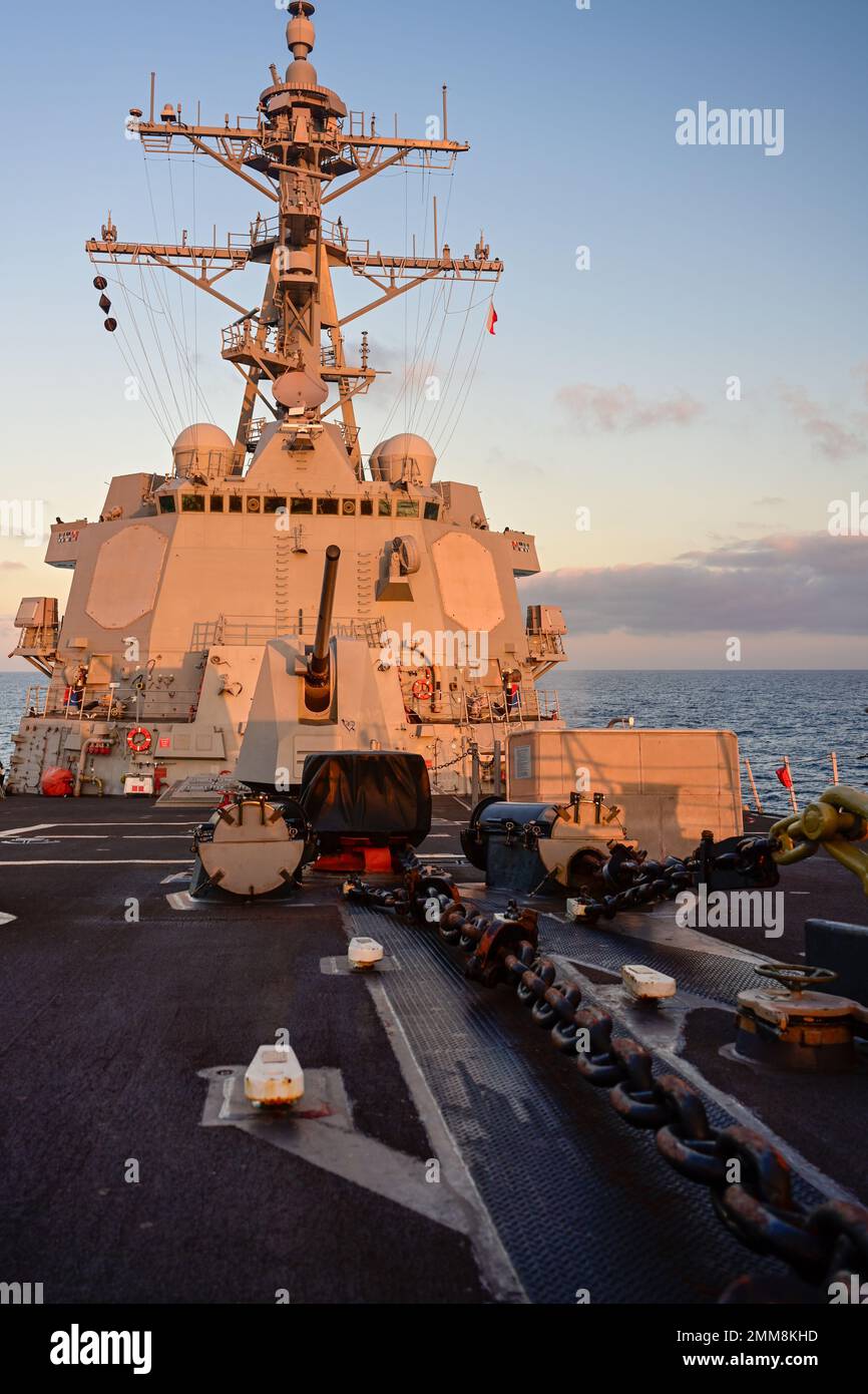 The Arleigh Burke-class guided-missile destroyer USS Shoup (DDG 86 ...