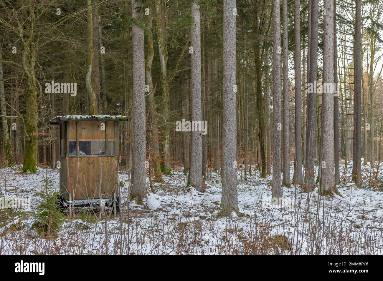 Tranquil hunting hi-res stock photography and images - Alamy