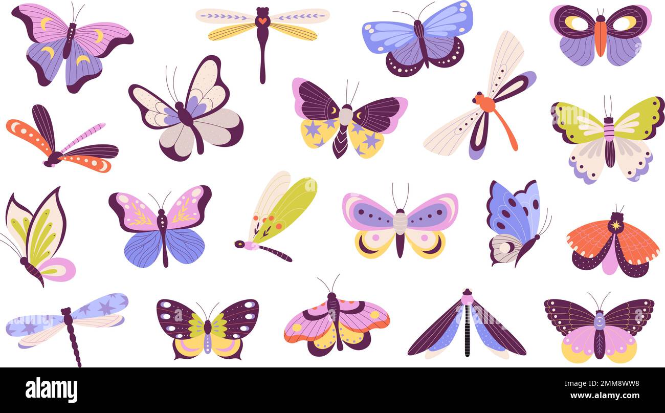 Collection pretty cartoon butterflies isolated hi-res stock photography ...