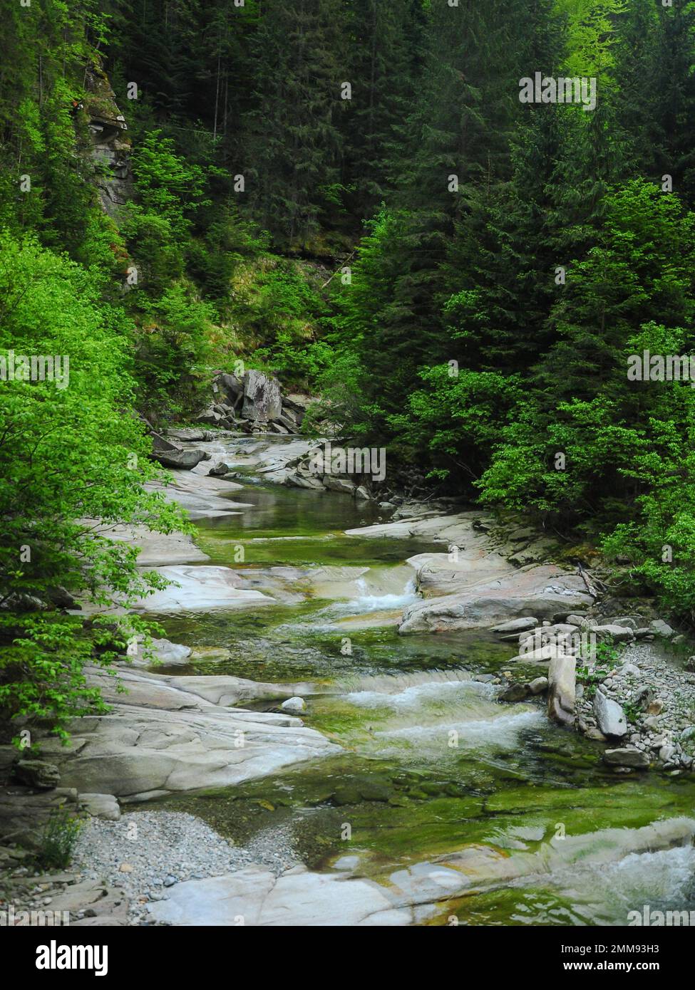 Spring river romania trees water hi-res stock photography and images ...
