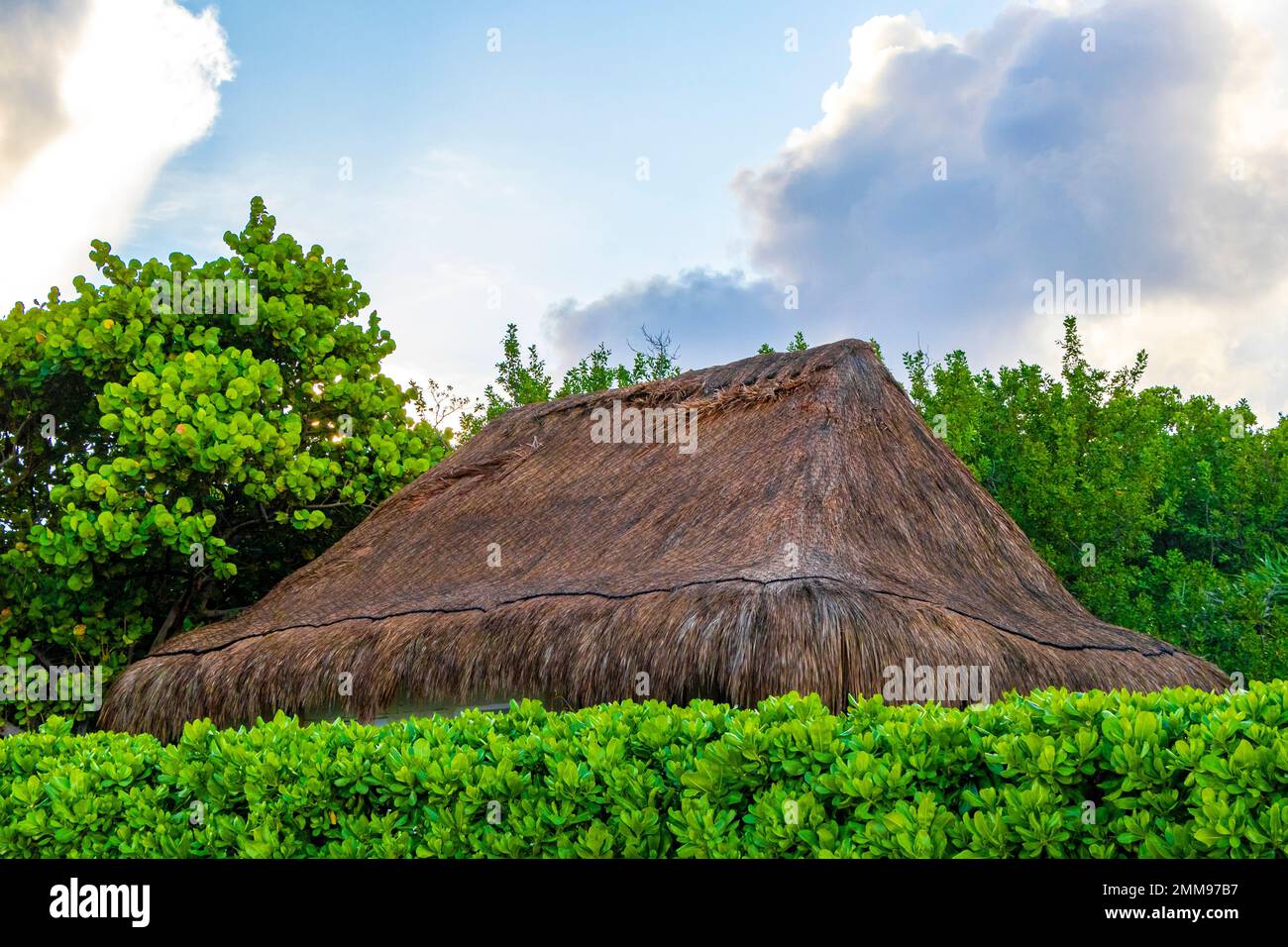 Palapa roof and resort in tropical beach in Playa del Carmen Quintana ...