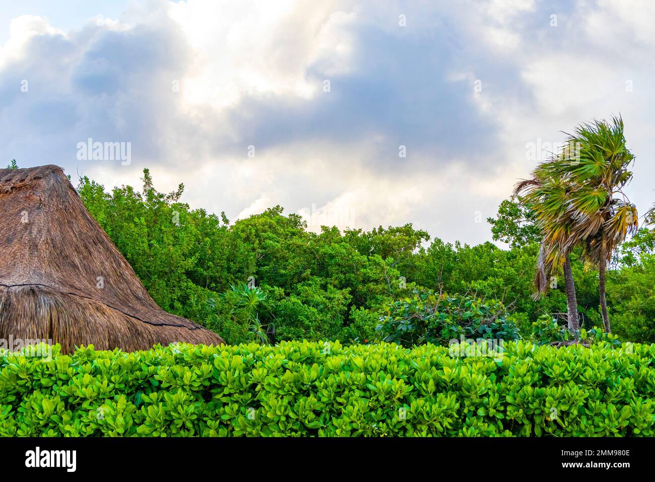 Palapa roof and resort in tropical beach in Playa del Carmen Quintana ...