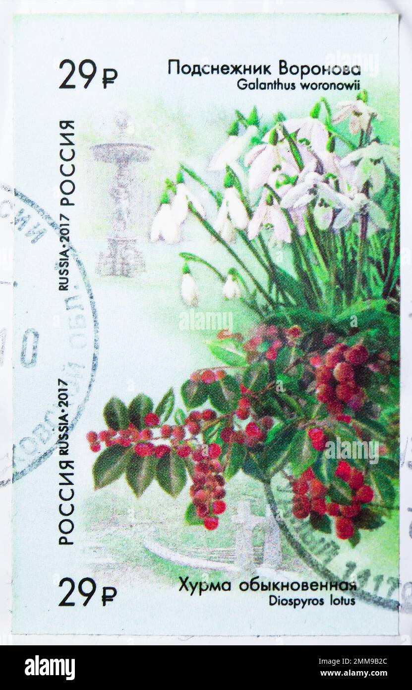 MOSCOW, RUSSIA - OCTOBER 30, 2022: Postage stamp printed in Russia ...