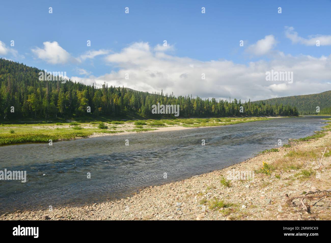 UNESCO World Heritage Site "Virgin Komi Forests". Summer in the ...