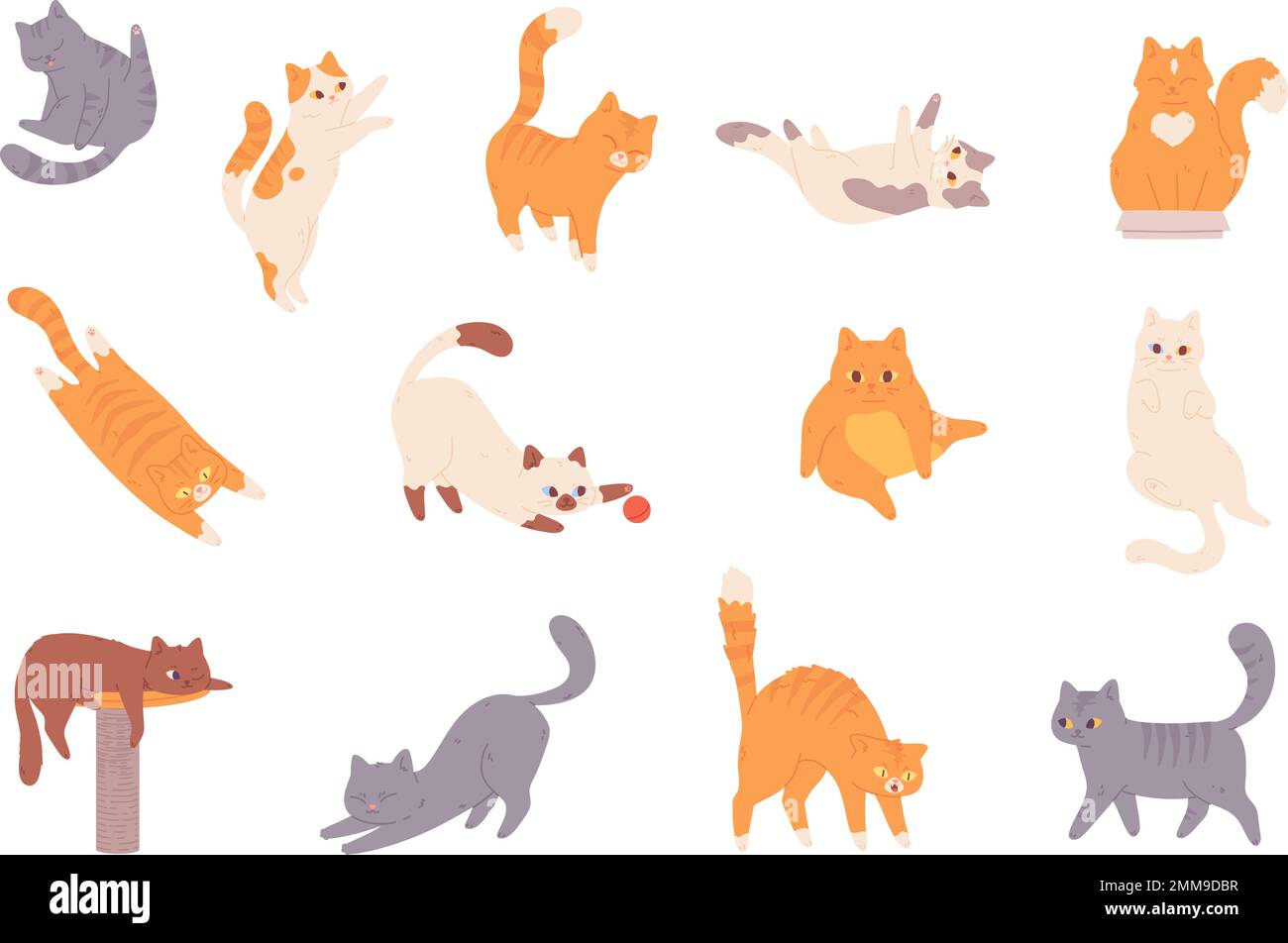 Cat behavior. Feline poses, cartoon cats characters funny emotions ...