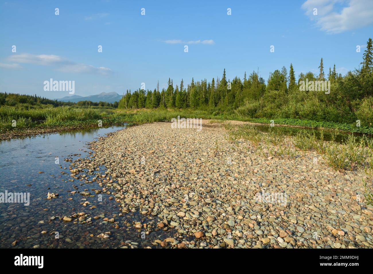 UNESCO World Heritage Site "Virgin Komi Forests". Summer in the ...