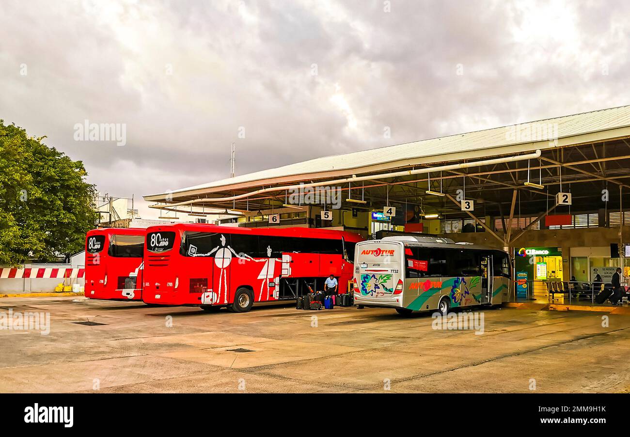 Playa del Carmen Quintana Roo Mexico 2021 ADO bus station stop in Playa ...