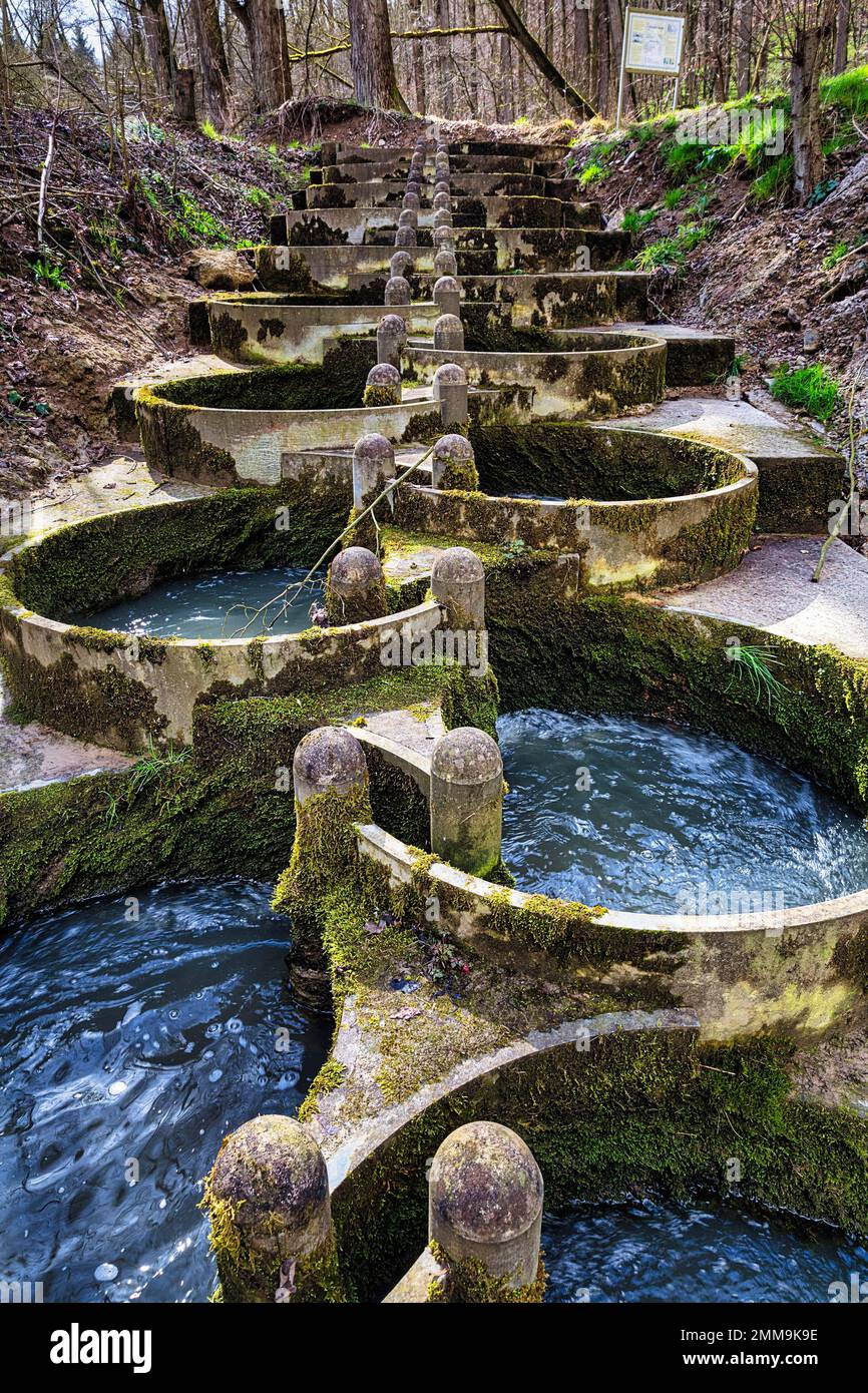 Artificial fish ladder, fish ladder, meander fish pass on the river ...