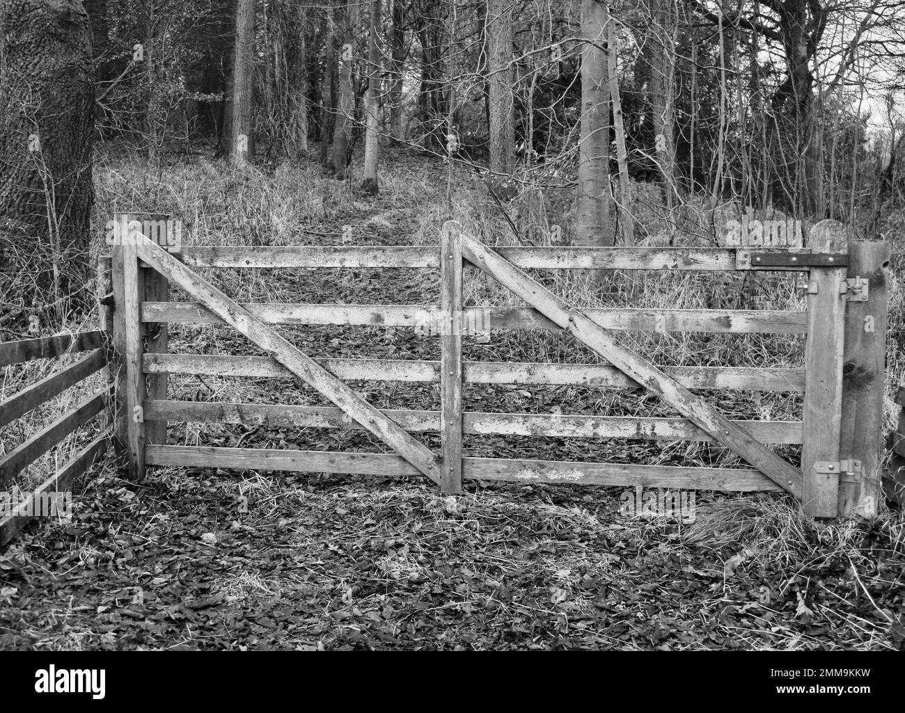 Wooden gate Black and White Stock Photos & Images - Alamy