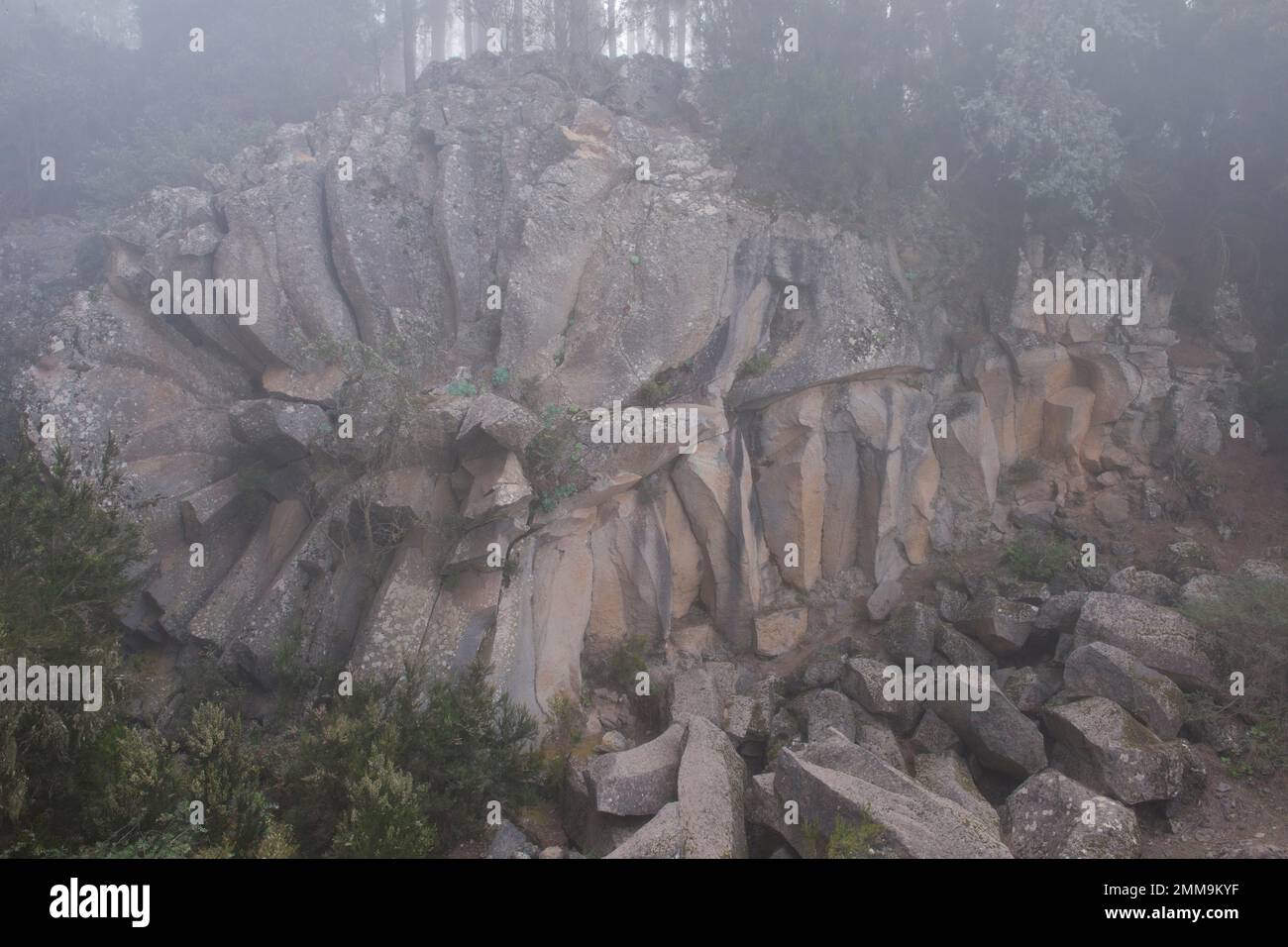 La rosa de piedra hi-res stock photography and images - Alamy