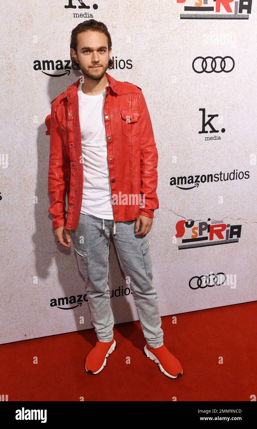 Musical artist Zedd poses at the premiere of the film at the ArcLight ...