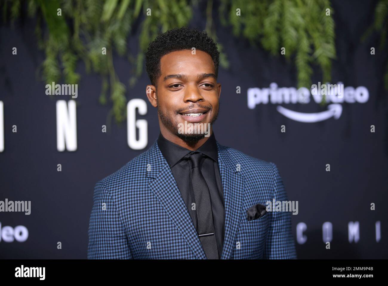 Cast member Stephan James arrives at the Los Angeles premiere of "Homecoming" on Wednesday, Oct ...