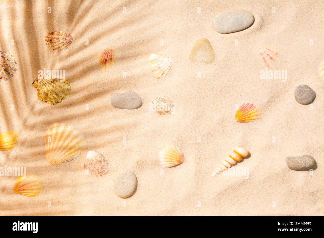 Sandy beach with sea shells, pebbles and palm leaf shadow. Travel and ...
