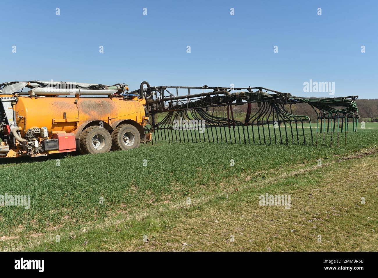 Slurry tanker brings slurry to a field, Hesse, Germany Stock Photo - Alamy