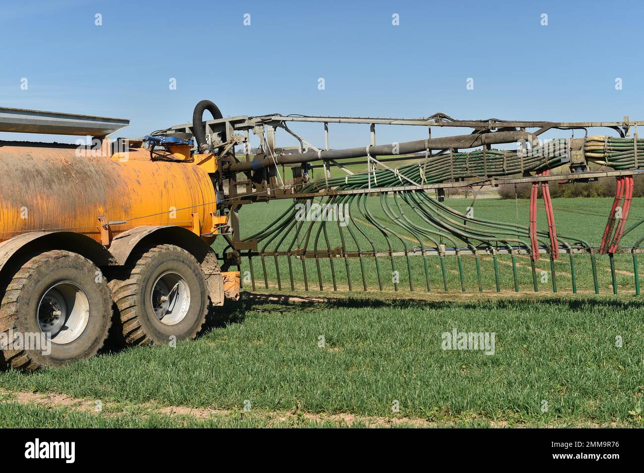 Slurry tanker brings slurry to a field, Hesse, Germany Stock Photo - Alamy