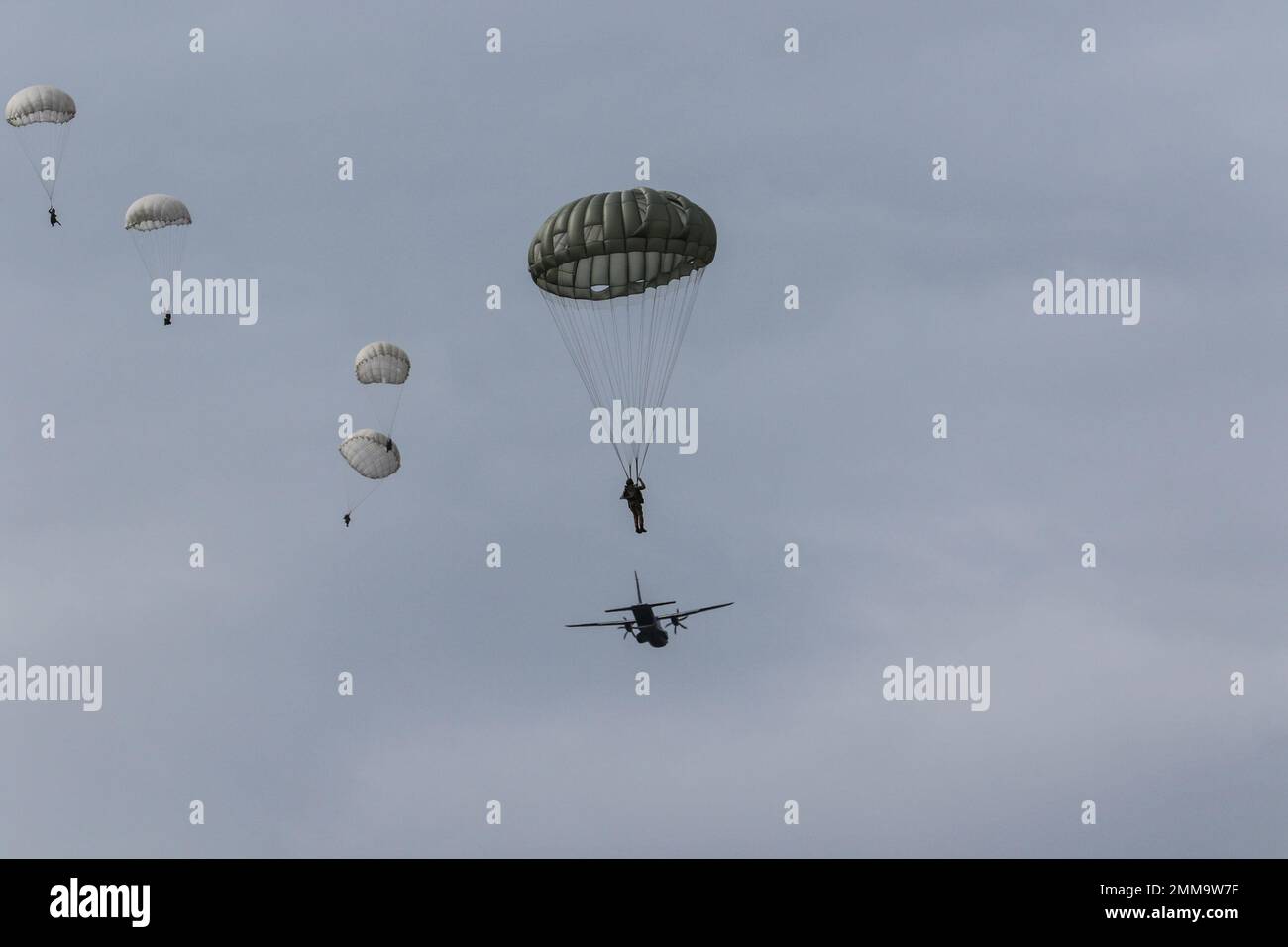 Falcon leap hi-res stock photography and images - Alamy