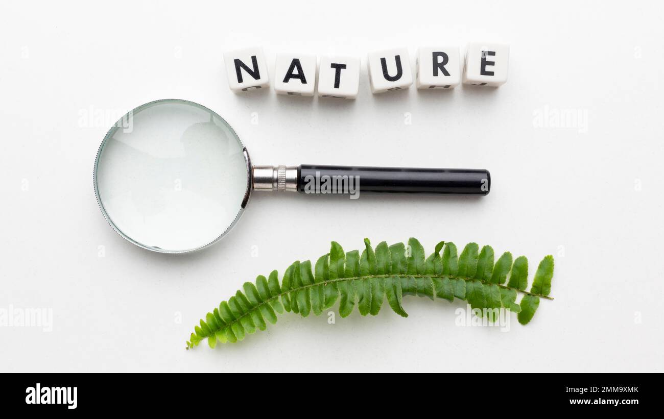 top view magnifying glass plant. High resolution photo Stock Photo - Alamy