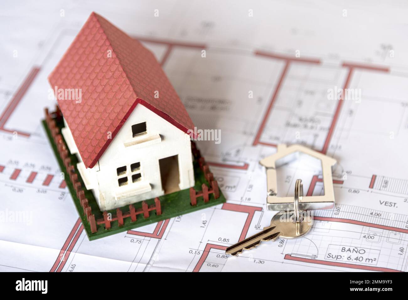 high view house with garden keys blueprint. Resolution and high quality ...