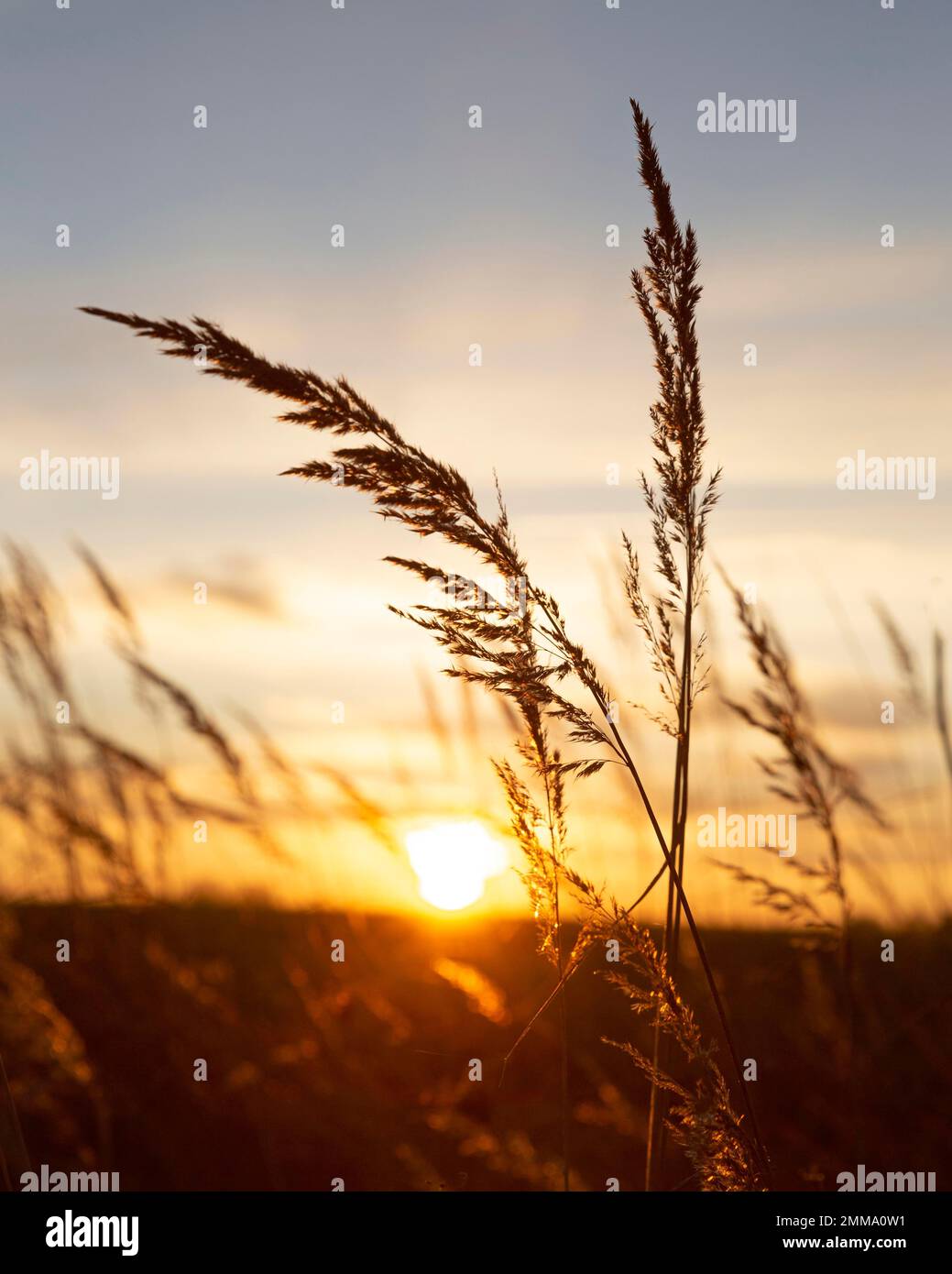 Inspiring view hi-res stock photography and images - Alamy