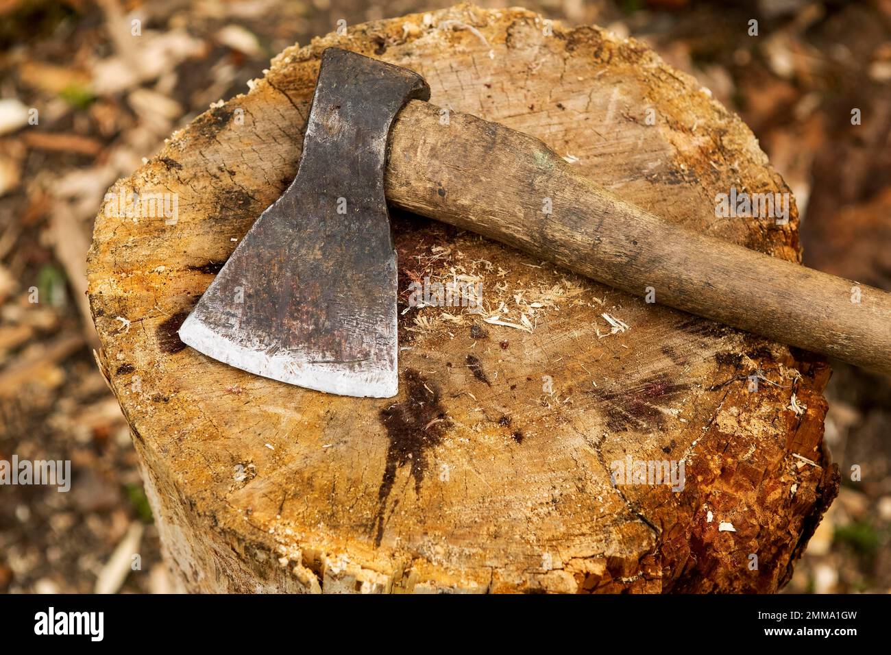 Block beautiful hi-res stock photography and images - Alamy