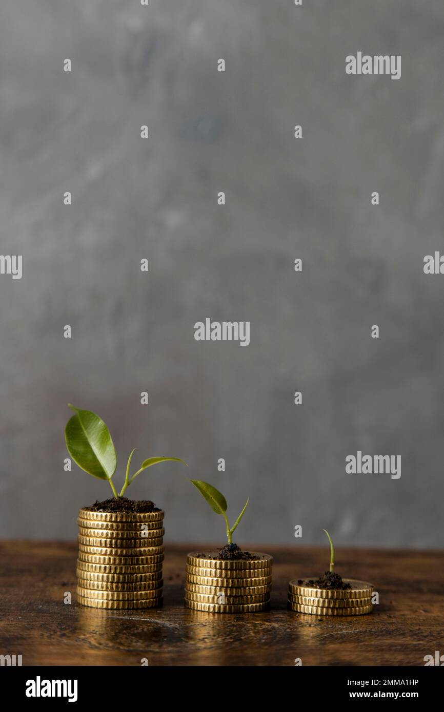 front view three stacks coins with plants copy space. Beautiful photo ...