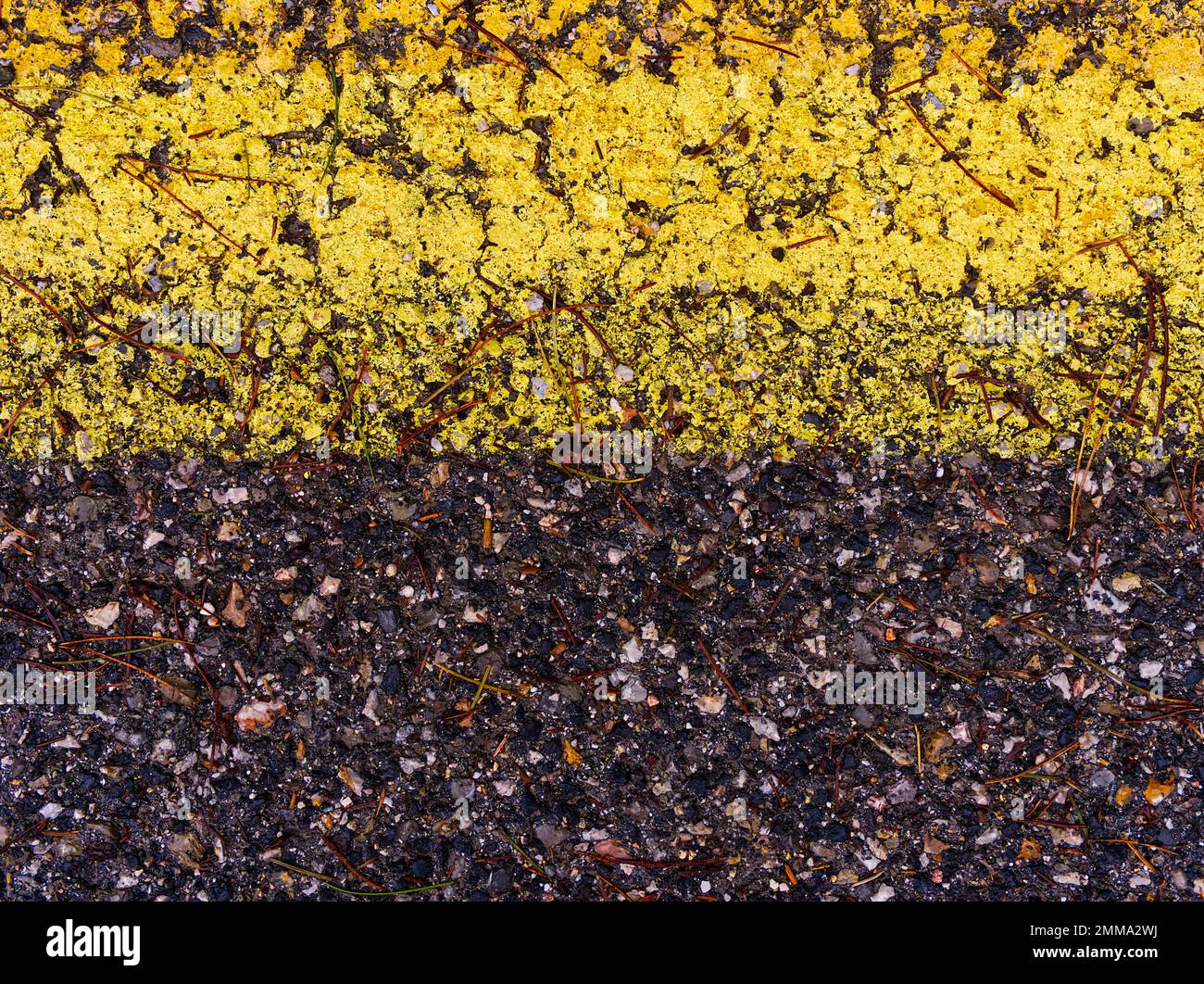 Footpath Texture Yellow Black