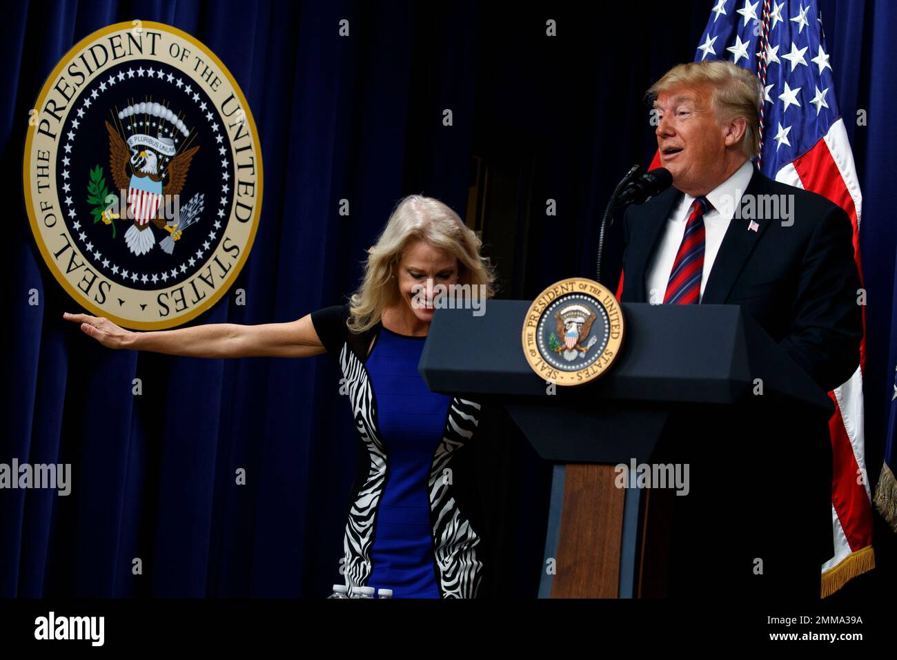 White House Senior Adviser Kellyanne Conway Curtsies As She Is Called