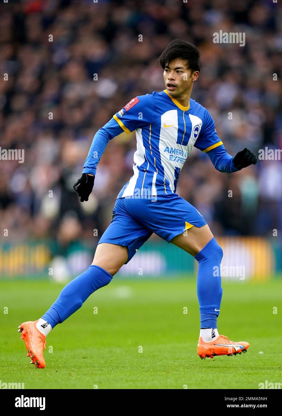 Brighton footballer kaoru mitoma hi-res stock photography and images ...
